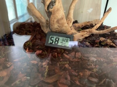 Digital LCD Thermometer Hygrometer for Pet Ant Far... – Vicedeal