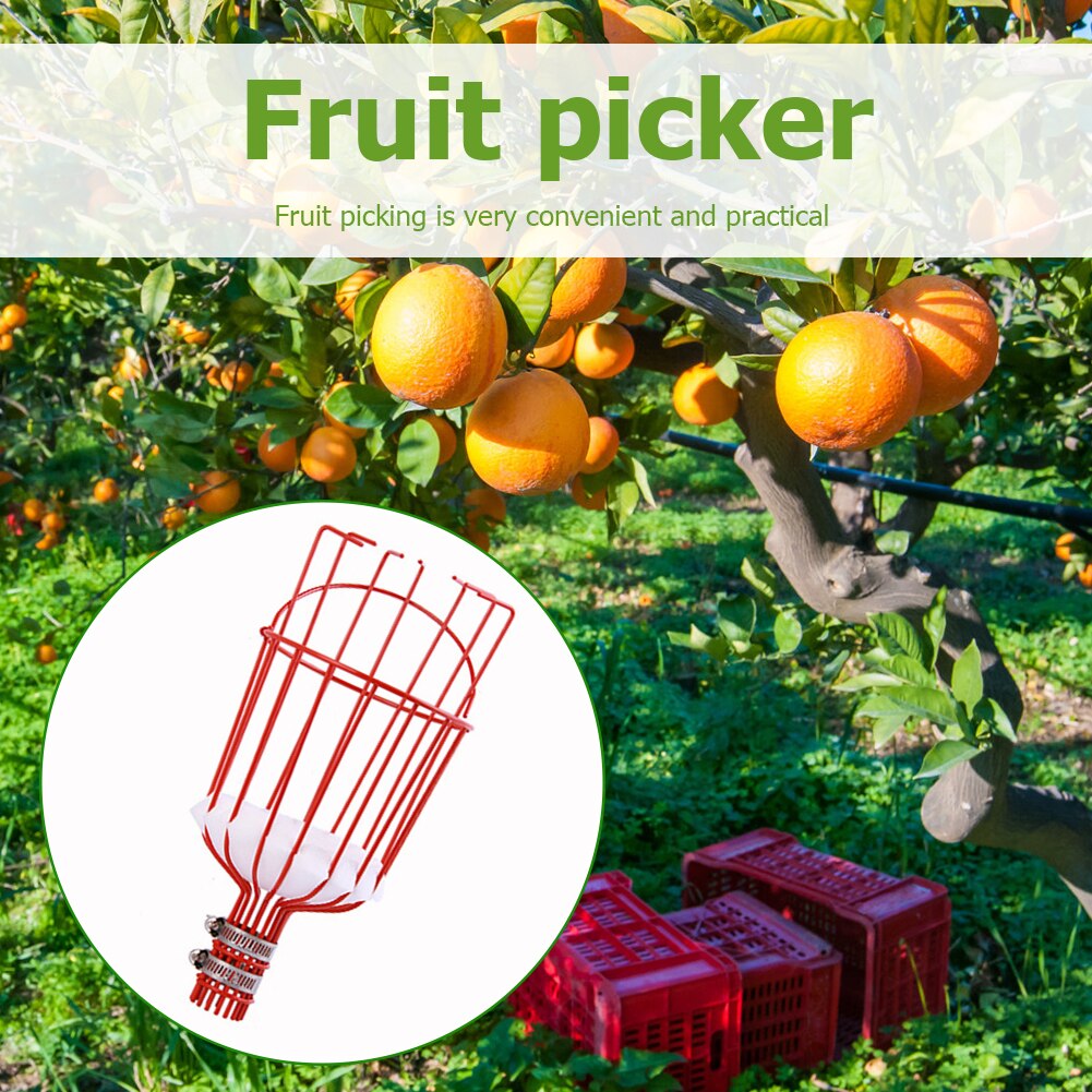 Outdoor Aluminum Picking Citrus Pear Peach Hand To... – Grandado