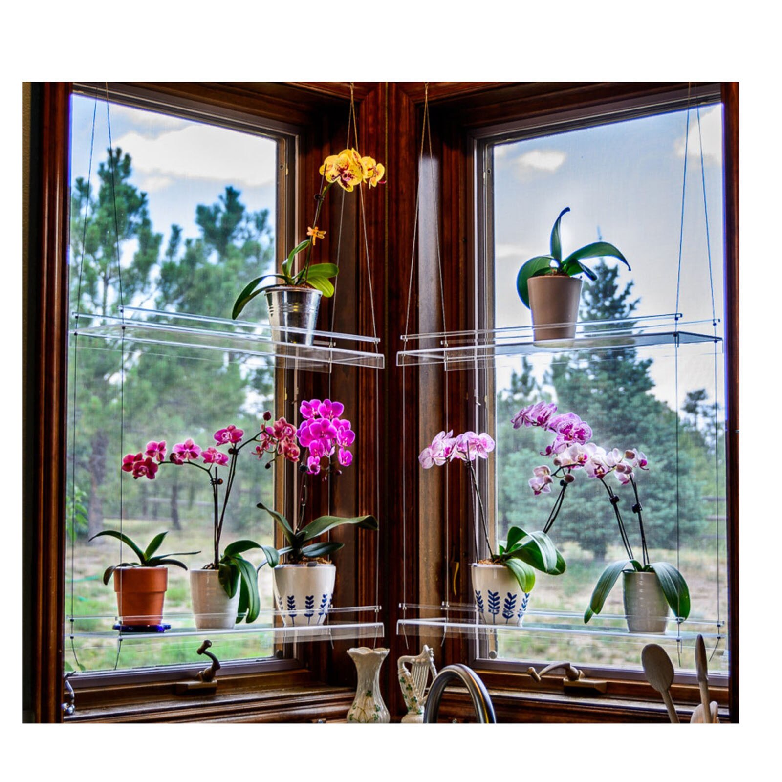 Window Plant Shelf Hanging Shelf Plant Shelves Pla... – Vicedeal