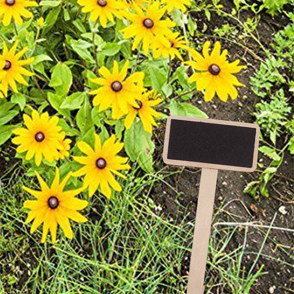 10pcs Mini Wooden Chalkboard Blackboard Plant Mark... – Grandado