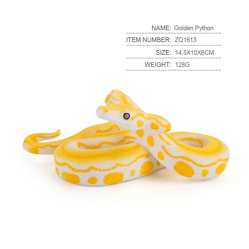 DIY Wild Jungle Zoo Animal Models Plastic Action F... – Grandado