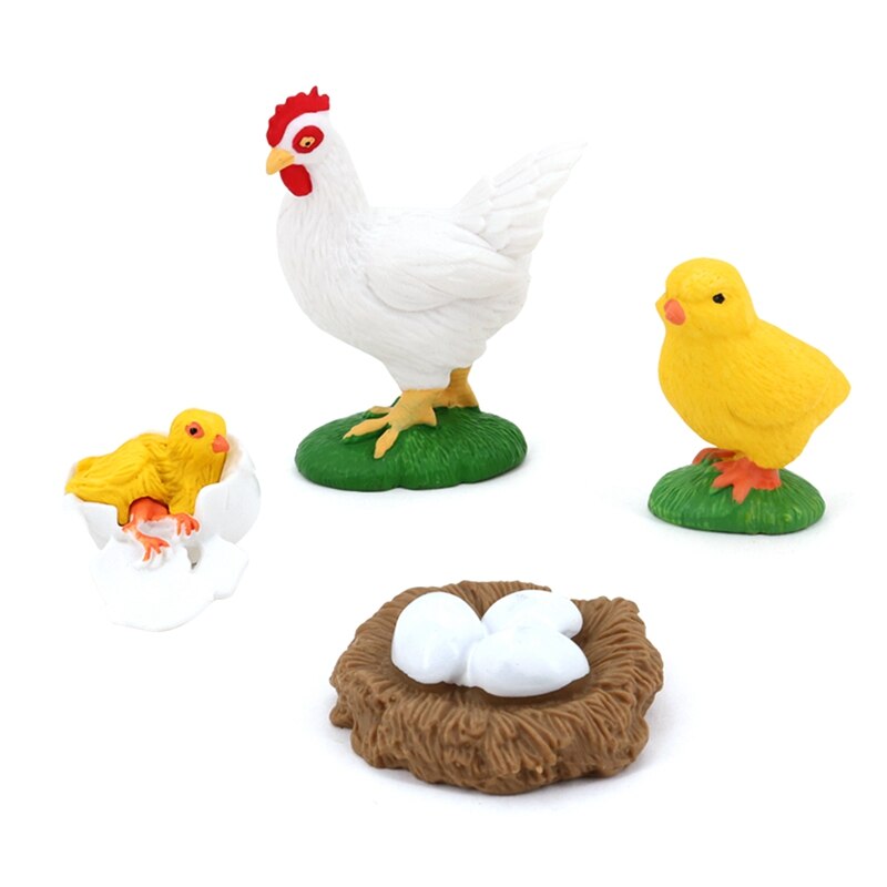 4Pcs Chick Life Cycle Model,Realistic Animal Life ... – Grandado