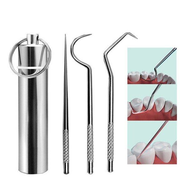 3pcs/set Stainless Steel Toothpicks Dental floss O... – Vicedeal