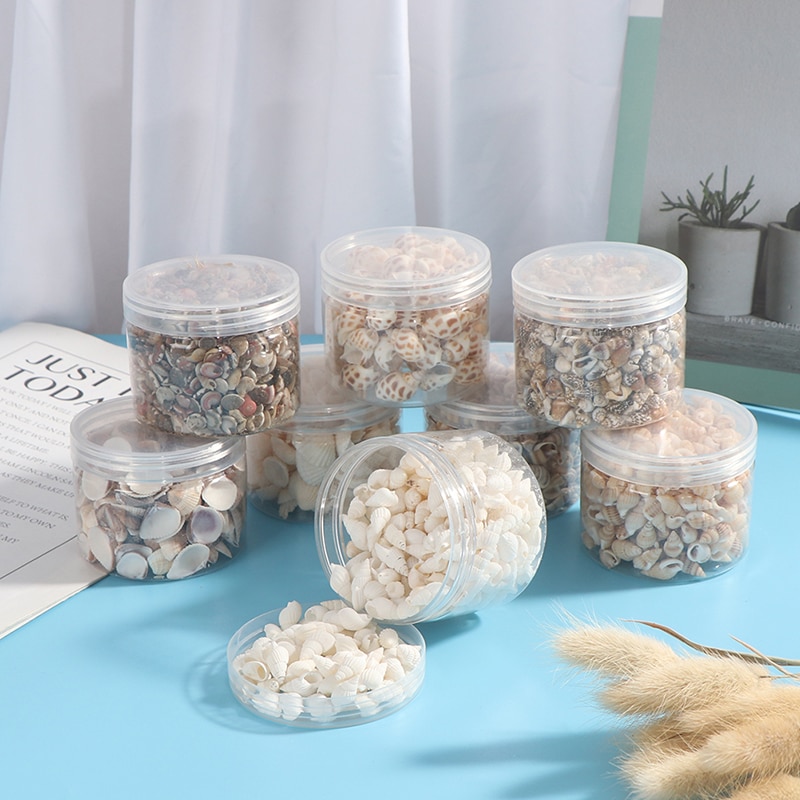 1 Box Natural Conch Shells Mini Conch Corn Screw W... – Grandado