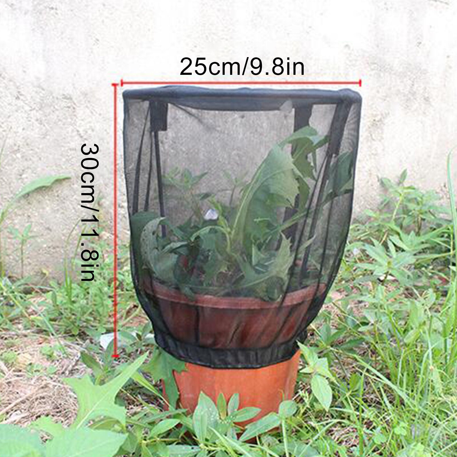 T# Garden Insect Net Cage Butterfly Insect Habitat... – Vicedeal