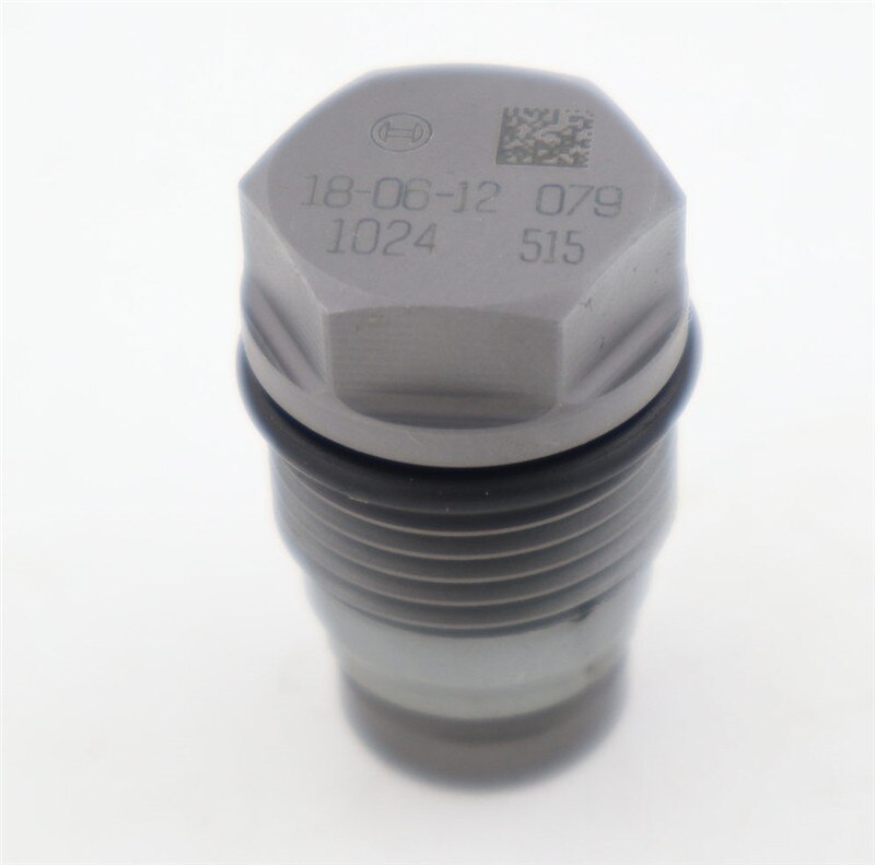 OEM 1110010024 Fuel Rail Pressure Relief Limiter V... – Vicedeal