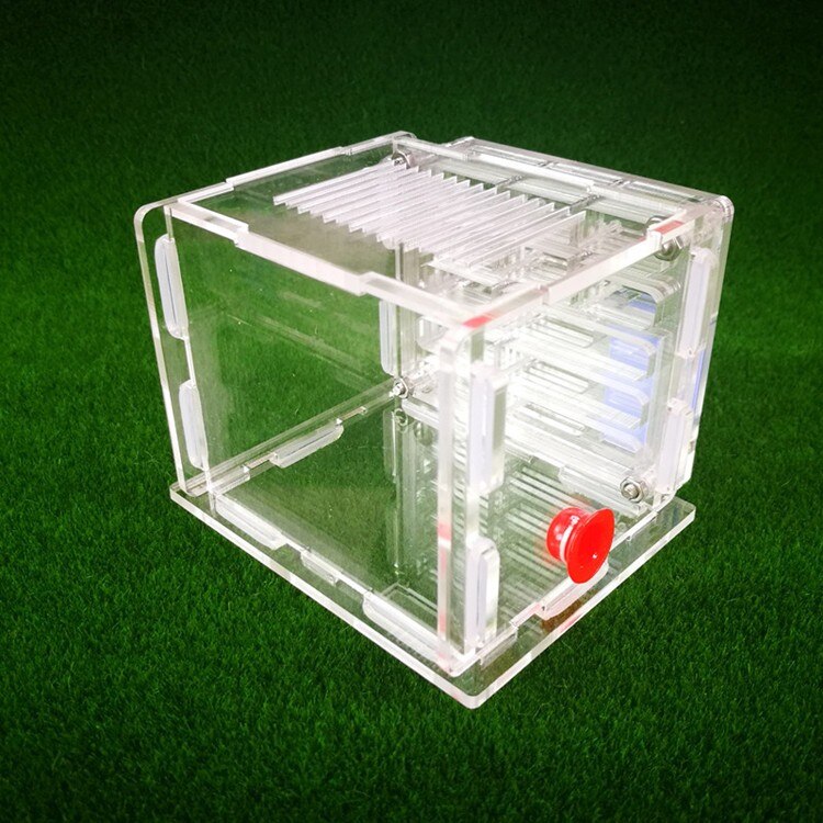 Ant Nest AX Insect Pet Cage Farm Nest With Feeding... – Grandado