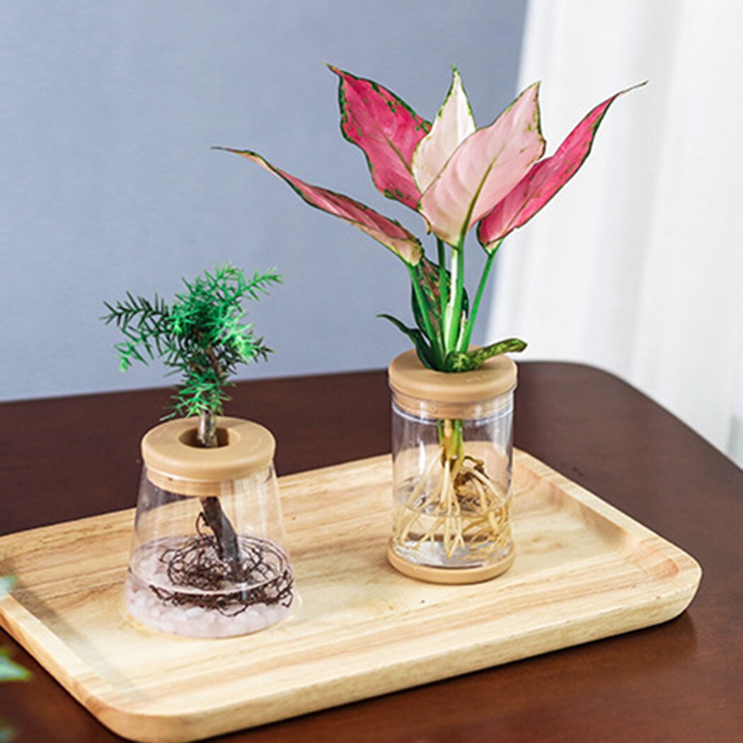 2pcs Clear Automatic Water Absorption Self Waterin... – Grandado