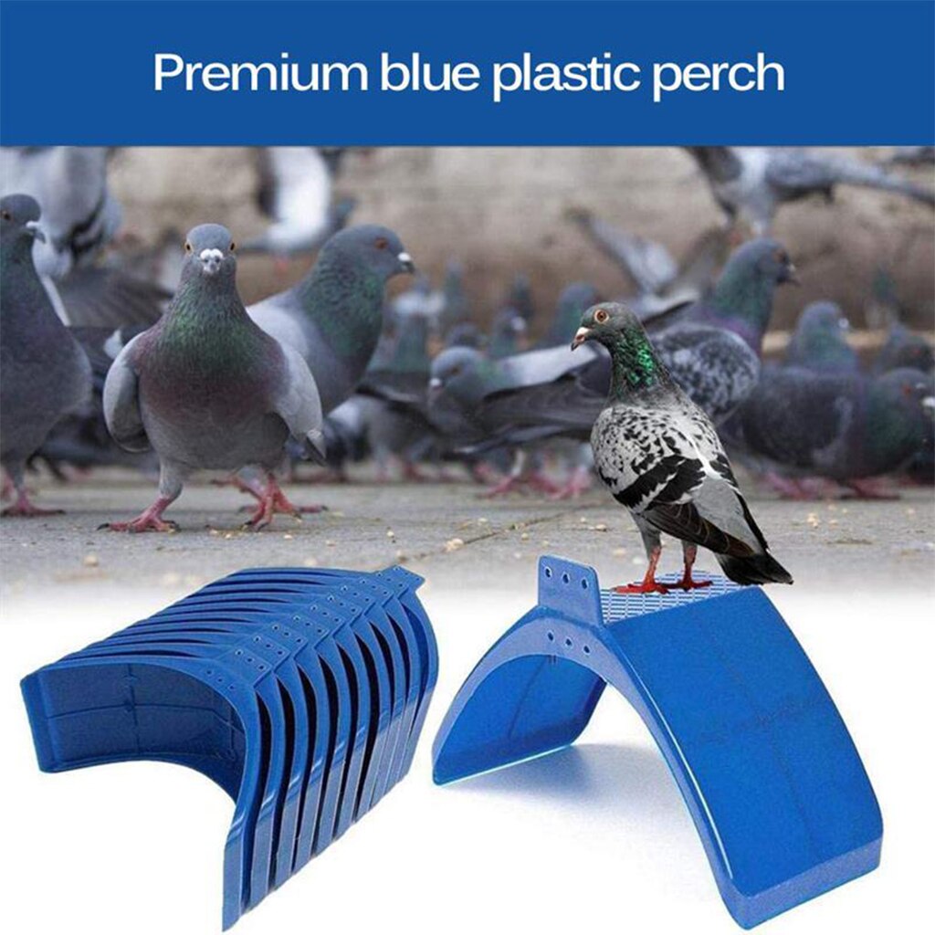 10 pcs Rest Stand Bird Perches for Pigeon Roost Bi... – Grandado