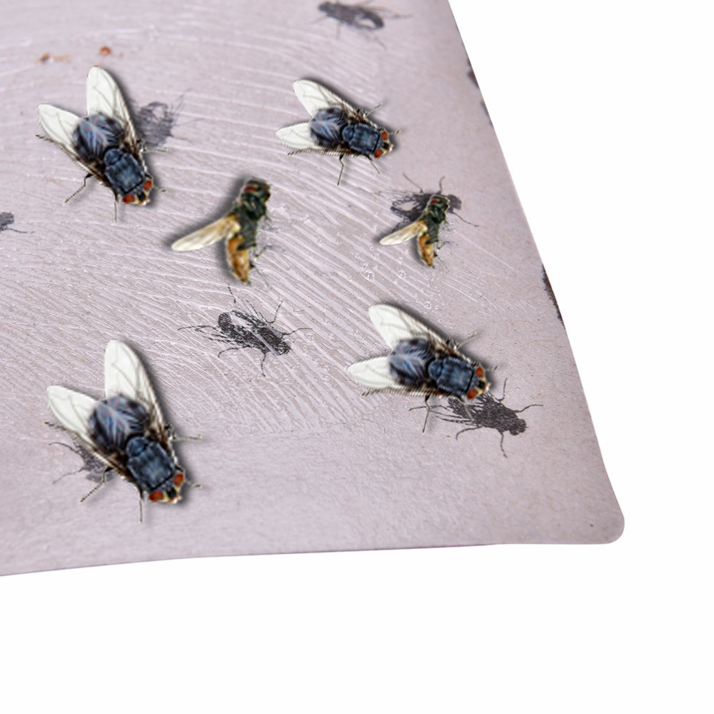 In Winkel Ticky Lijm Sterke Vliegt Vallen Bugs Sti... – Grandado