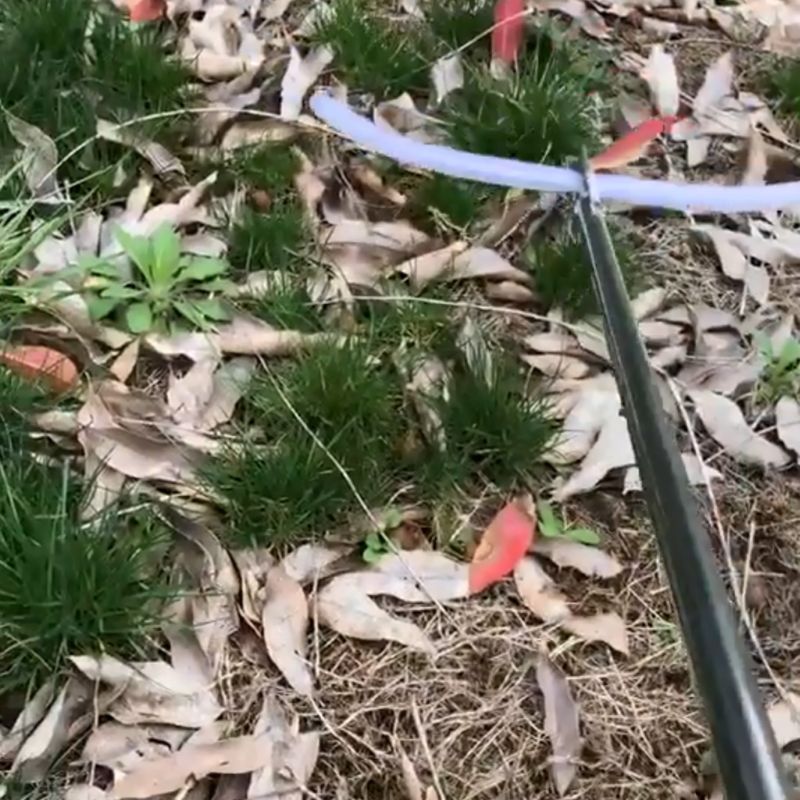 Multipurpose Snake Catcher Tongs Foldable Stainles... – Grandado