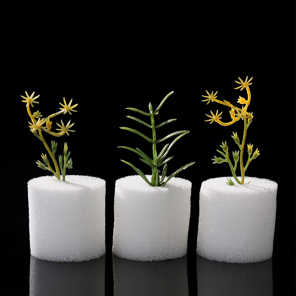 10/50Pcs Soilless Hydroponic Vegetables Nursery Po... – Grandado