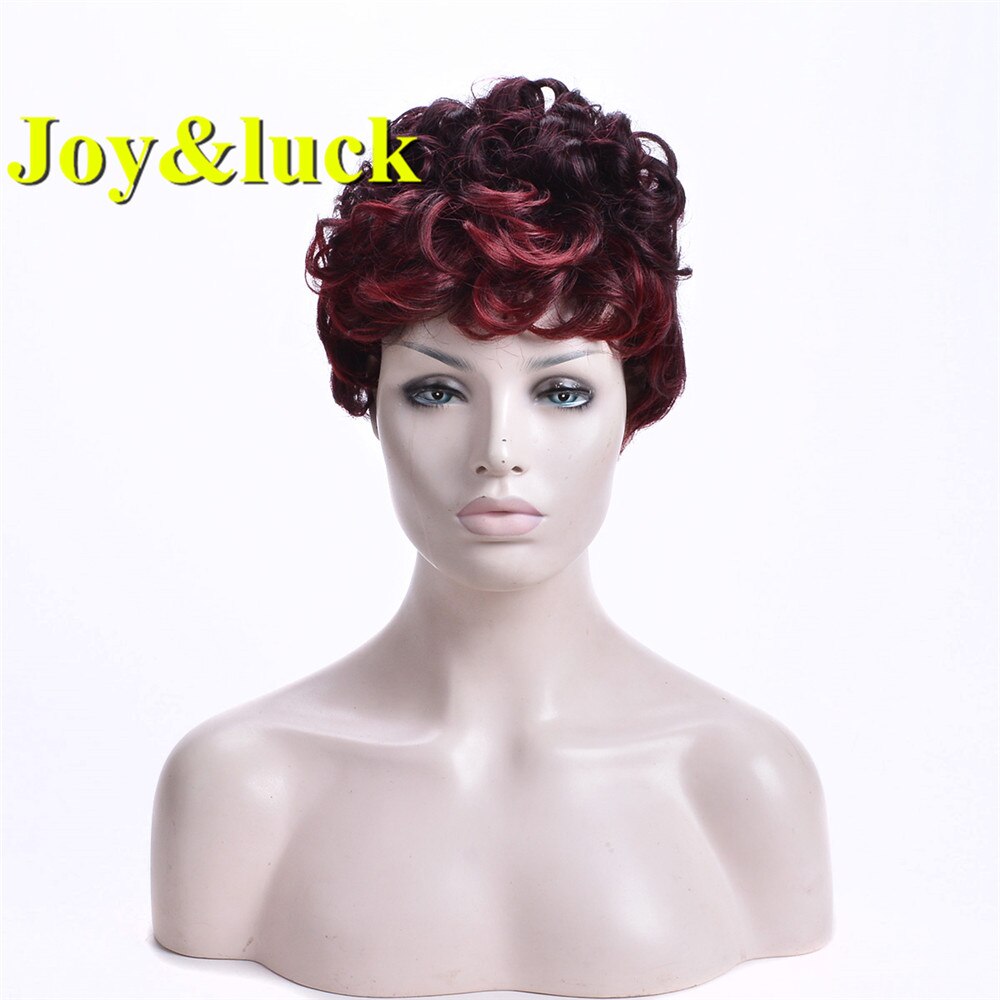 Joy&luck Short Wig Culry Synthetic Wigs for Women ... – Grandado