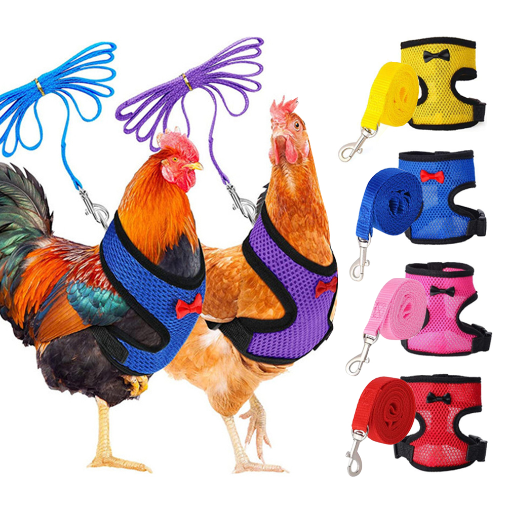 Breathable Mesh Chicken Duck Vest Leashes Poultry ... – Vicedeal