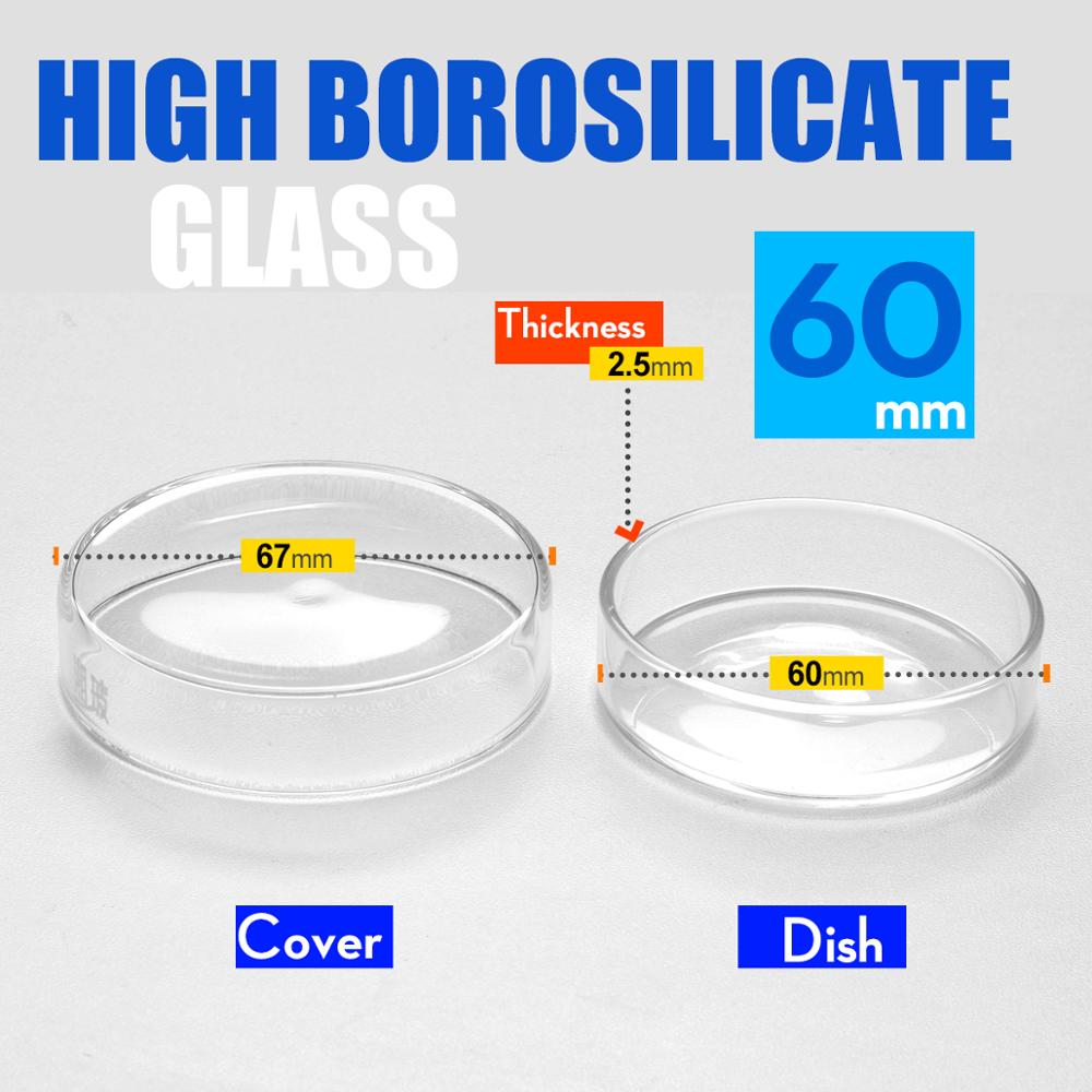 10 pcs 60mm Glass Petri Dish Bacterial Culture Dis... – Vicedeal