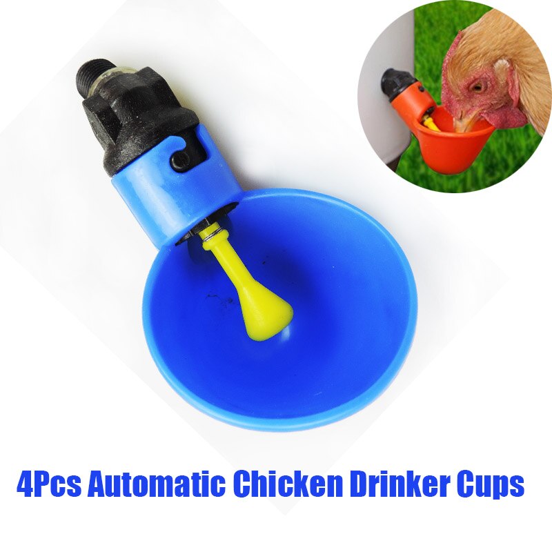 2Pc Poultry Water Drinking Cups Quail Chicken Drin... – Grandado