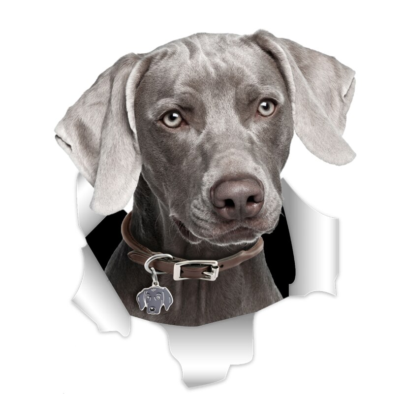 Three Ratels 3D Staffordshire Terrier Dog Stickers... – Vicedeal