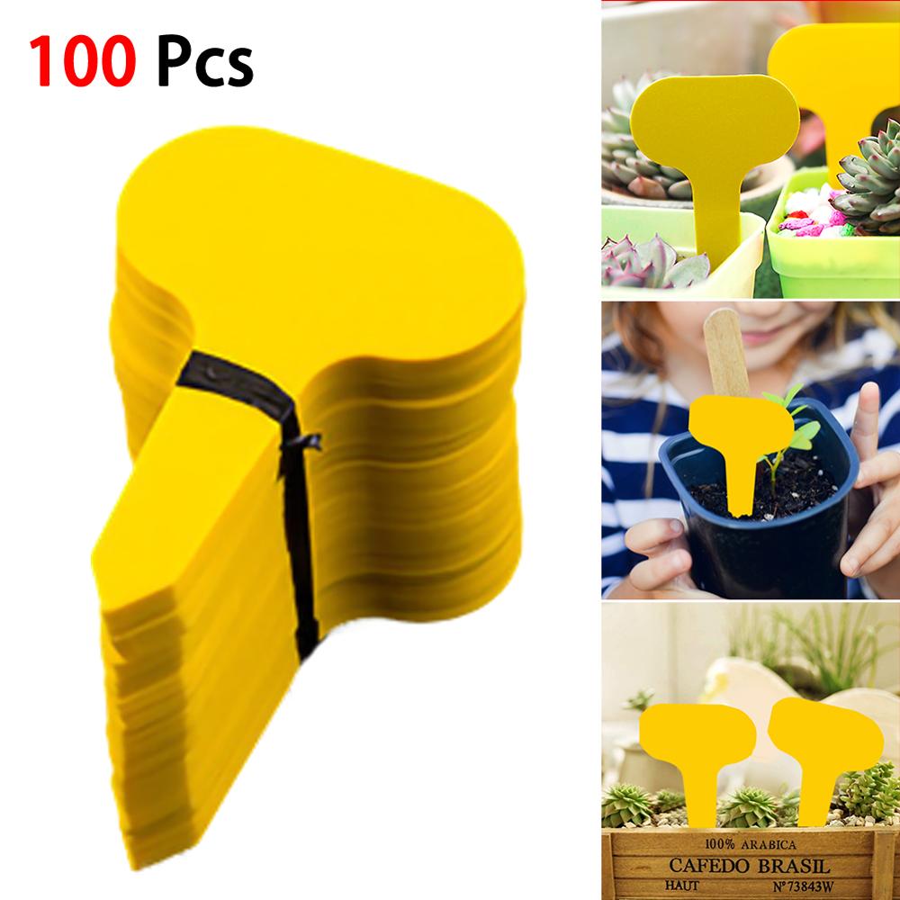 100PCS Gardening Label Waterproof T-shaped Ground ... – Grandado