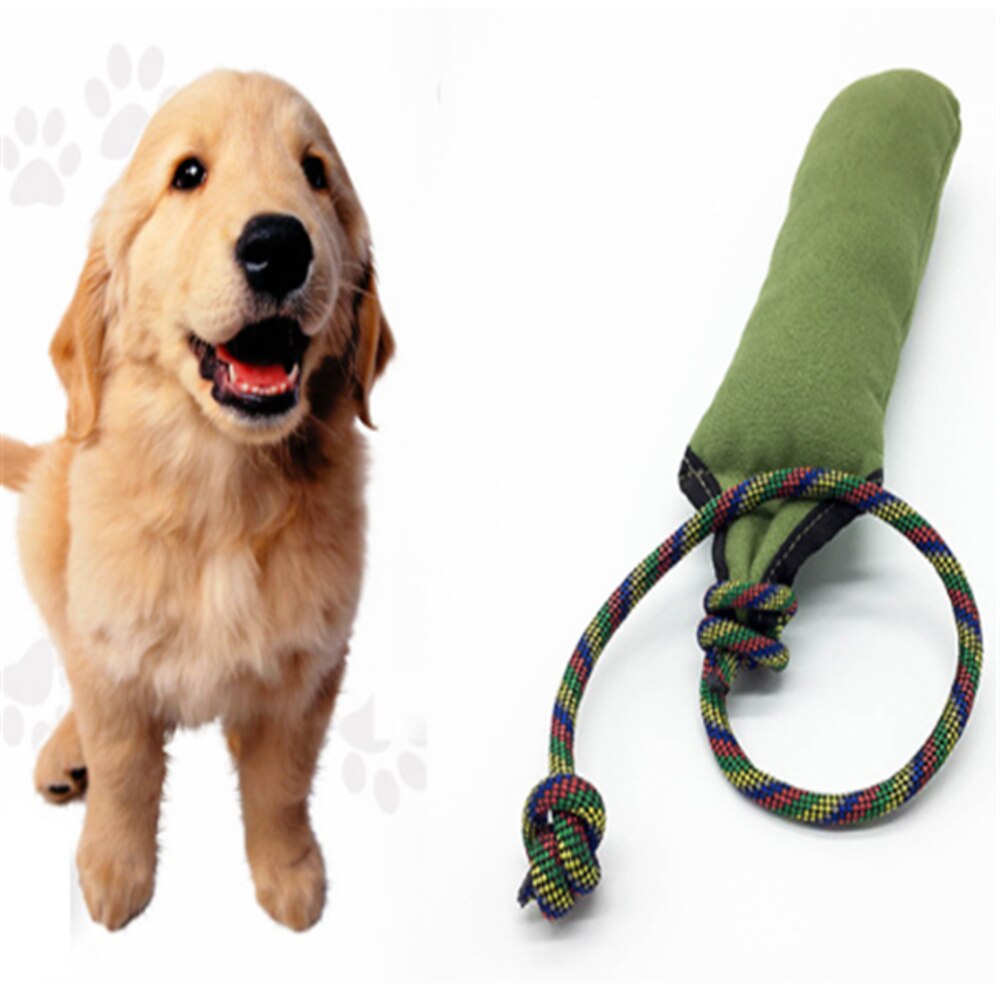 30cm Pet Training Stick Tracking Bite Stick Oxford... – Grandado