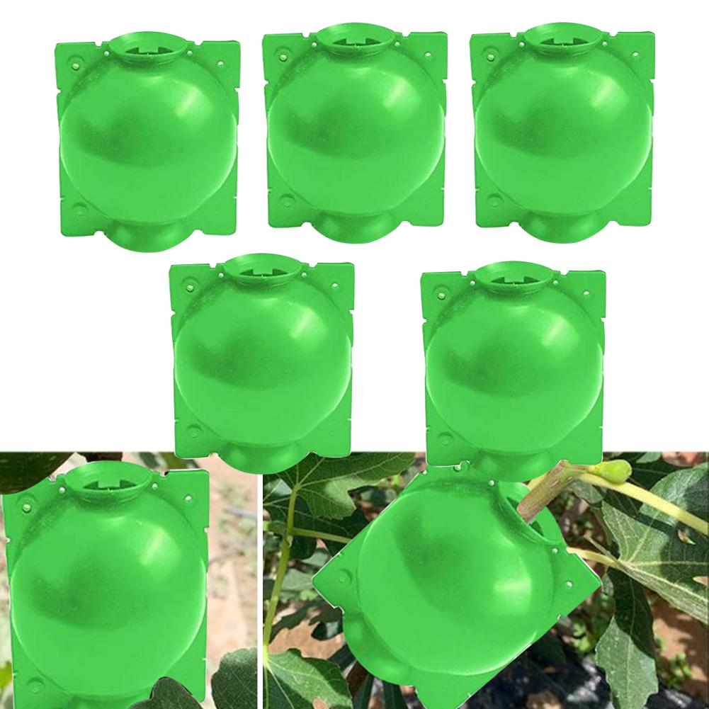 5Pcs/Set Tree Plant Rooting Growing Box Breeding C... – Vicedeal