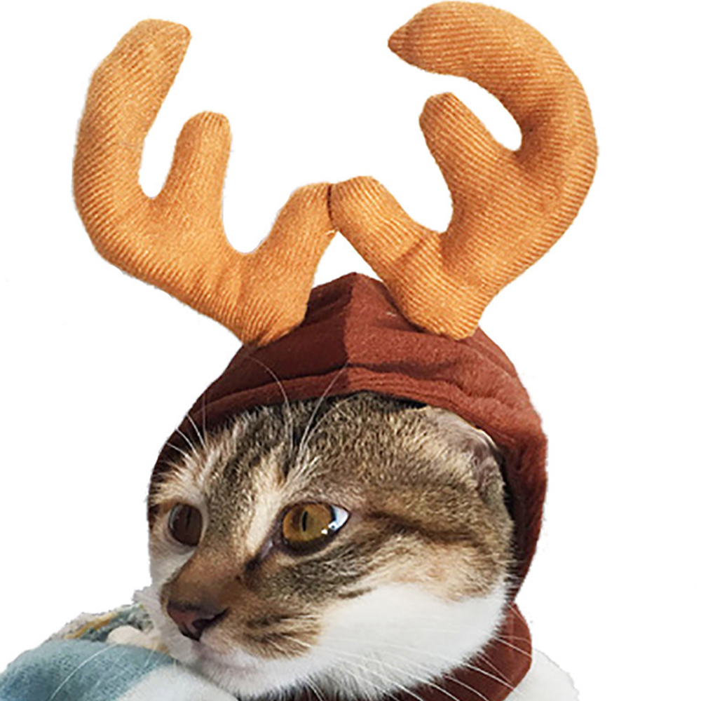 Pet Role Play Cat Dress Up Xmas Teddy Chrisrmas Or... – Grandado