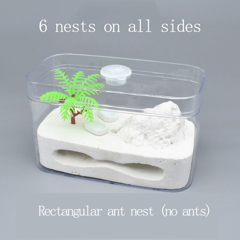 118mmx60mmx70mm Grade Acrylic big space Ant Nest A... – Grandado