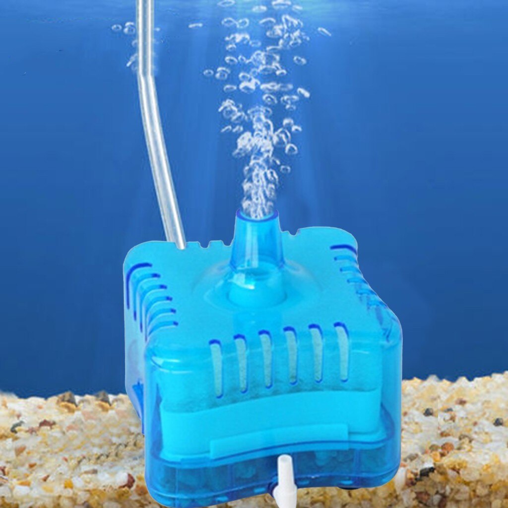 Fish Aquarium Air Stone While Making Blister Help ... – Vicedeal