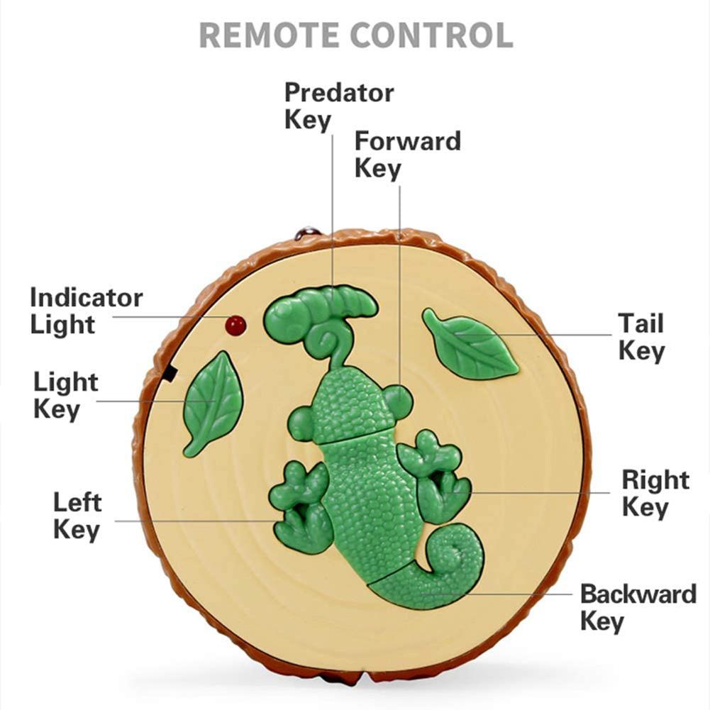 RC Chameleon Toy Realistic Animals Shape Infrared ... – Grandado