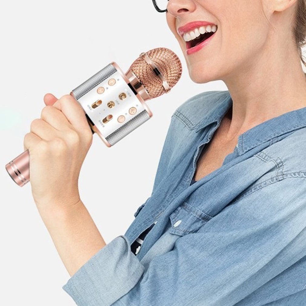 WS-858 Handheld KTV Microphone Portable Wireless K... – Vicedeal