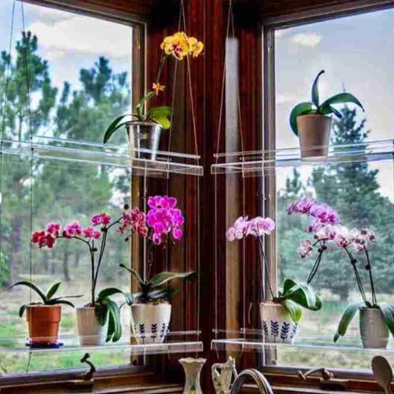 Shelf For Plants Window Bathroom Or Kitchen Window... – Grandado