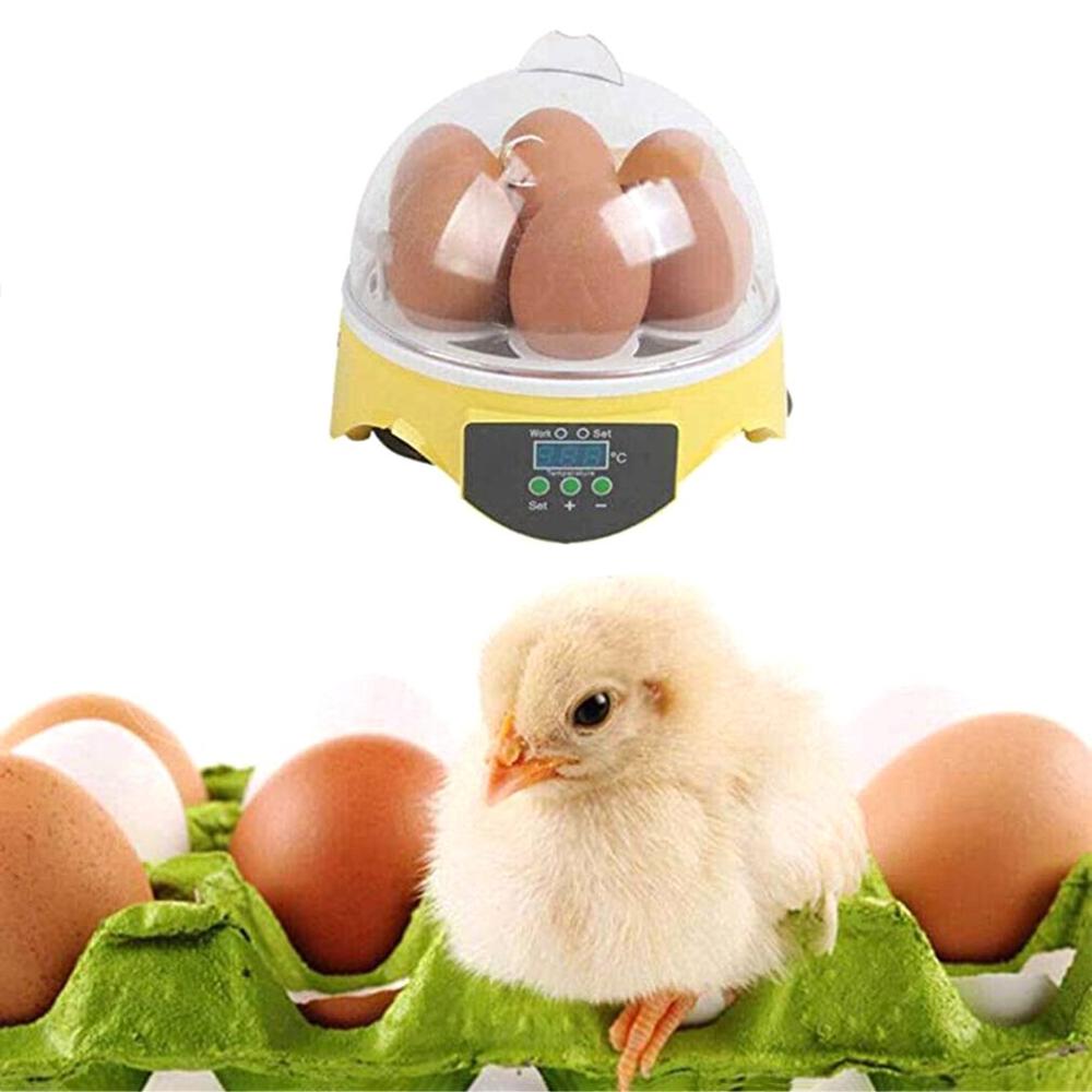 220V Eggs Incubator Brooder Bird Quail Incubator C... – Grandado