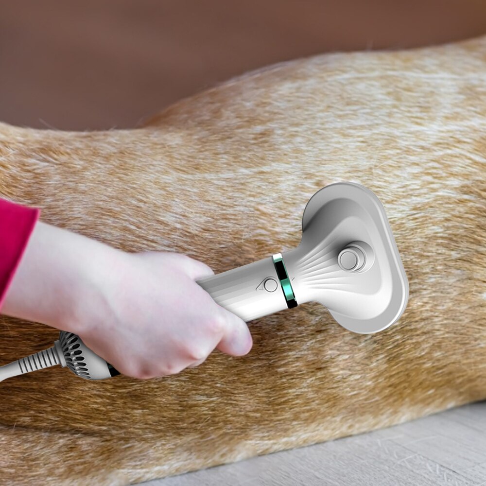 100-240V 2-In-1 Portable Dog Dryer Dog Hair Dryer ... – Grandado