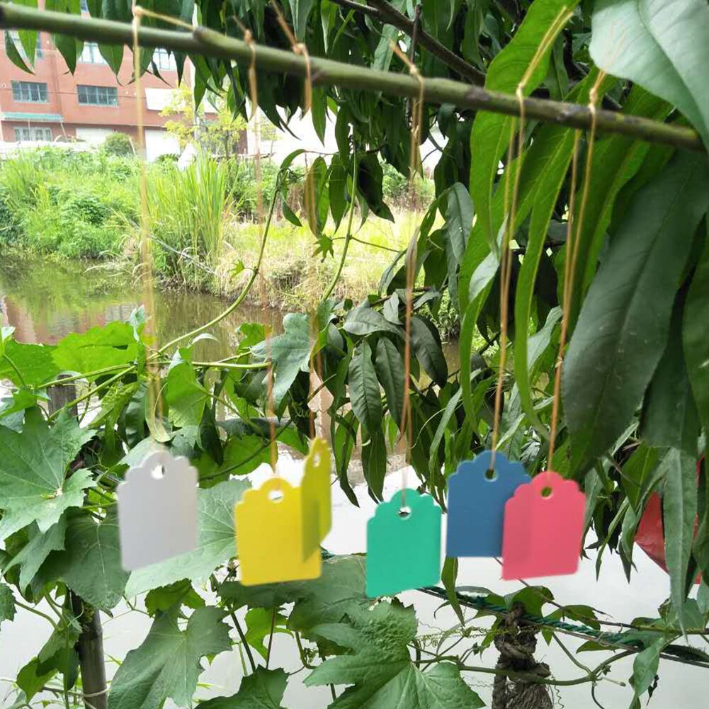 100pcs Plant Labels Easy Clean Waterproof Marking ... – Grandado
