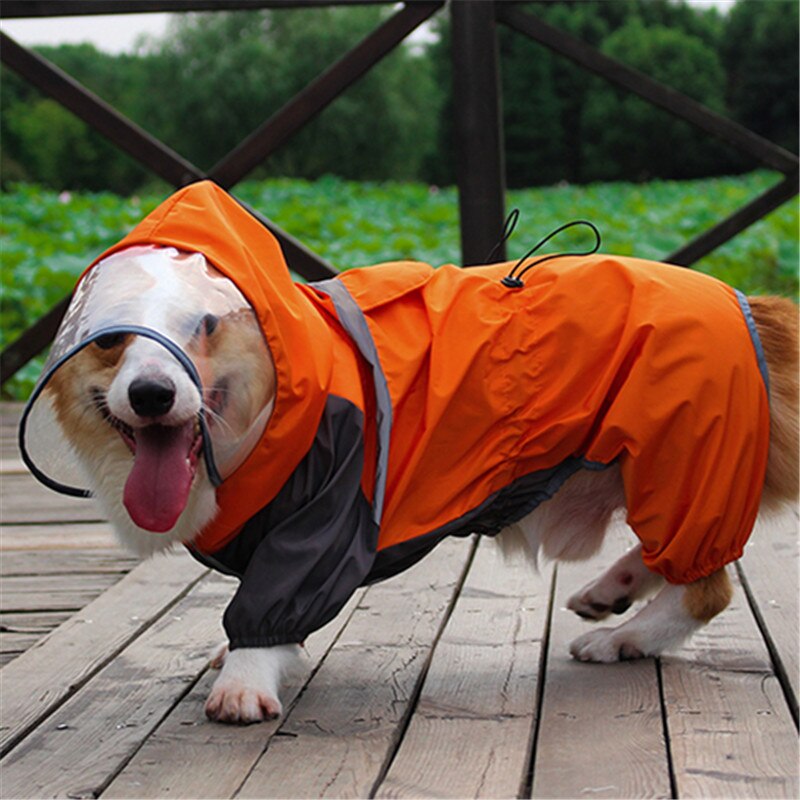 Welsh Corgi Dog Raincoat Reflective Waterproof Clo... – Grandado