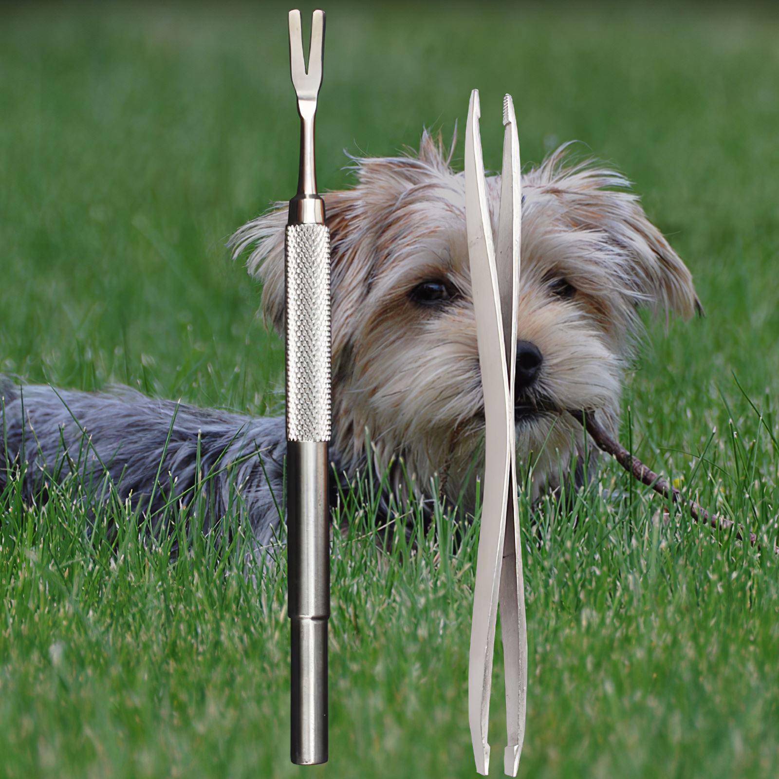 3PCS Pets Tick Removal Hook Tool Portable Flea Mit... – Grandado