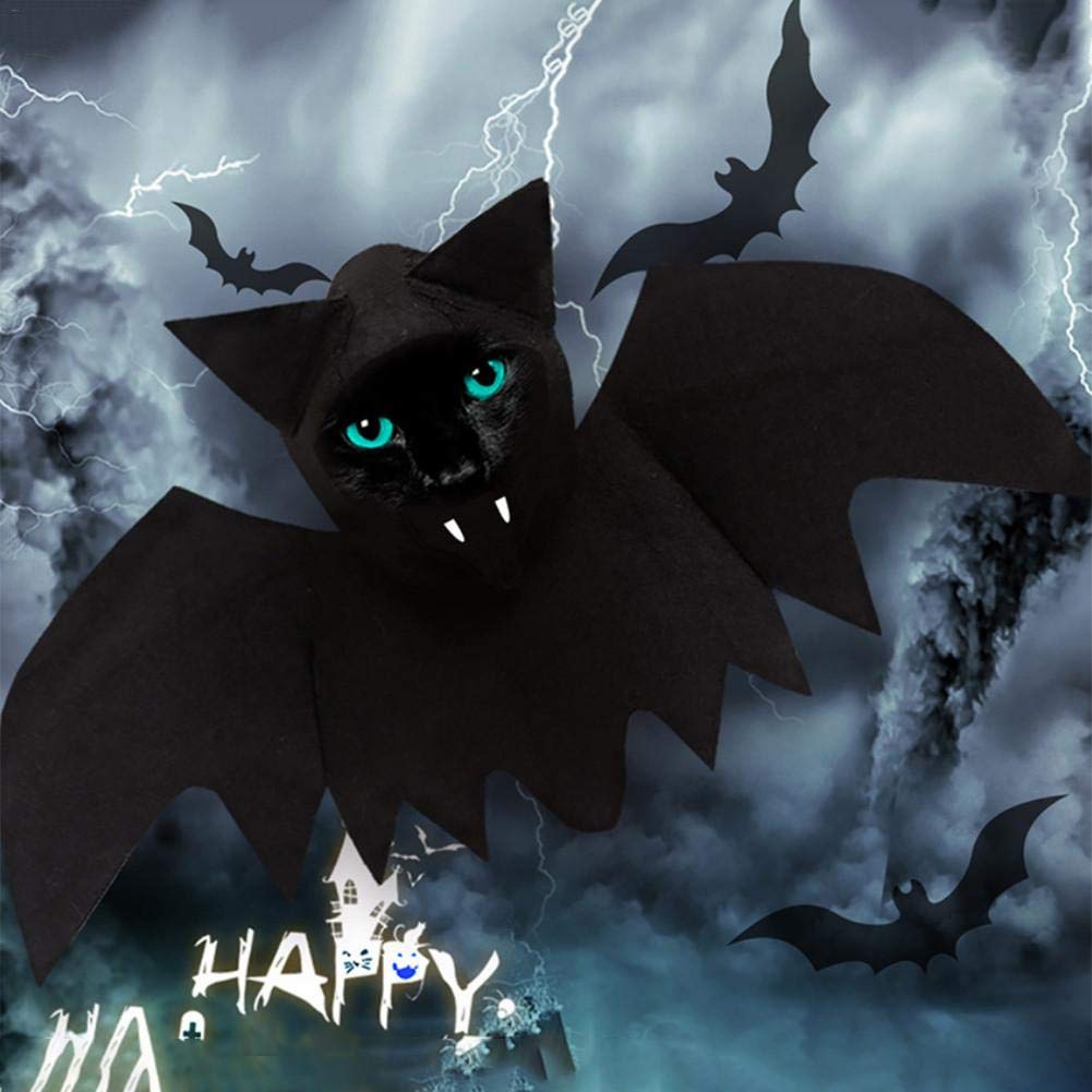 Cão de estimação gato morcego asa cosplay prop hal... – Grandado