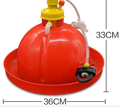 The bird with a large chicken with autodrinker Pla... – Grandado