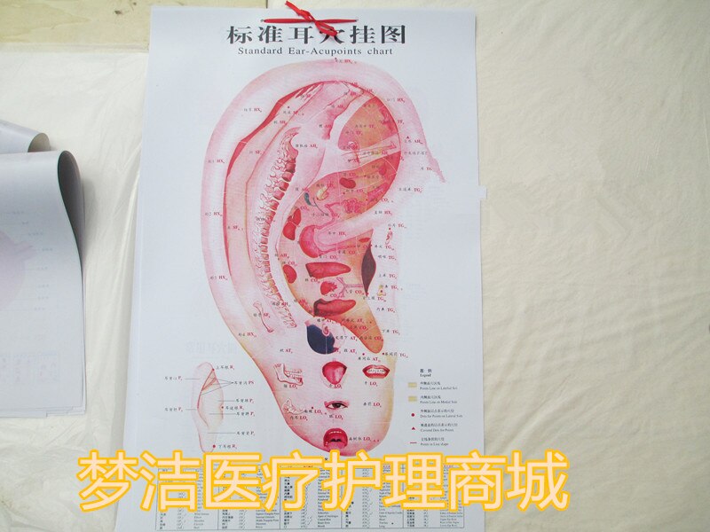 7pcs 50*80cm Acupuncture wall chart 3 male map 3 f... – Vicedeal