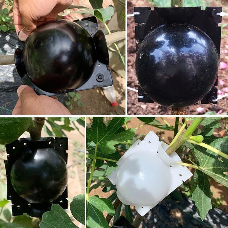 1 Pcs Planten Wroeten Apparaat Hoge Druk Voortplan... – Grandado