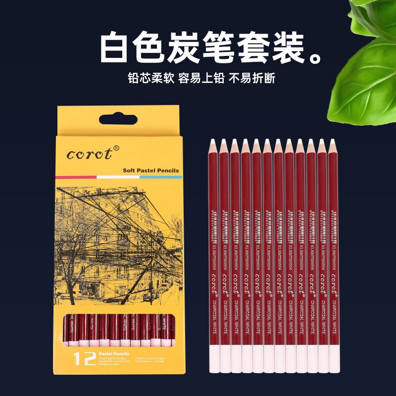 12Pcs Wit Houtskool Potloden Voor Schets Carbon Pe... – Vicedeal