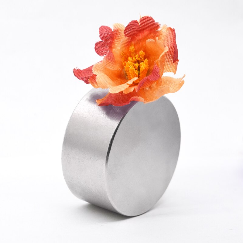 HYSAMTA 1 Piece N52 Neodymium Magnet 40x20 Permane... – Grandado