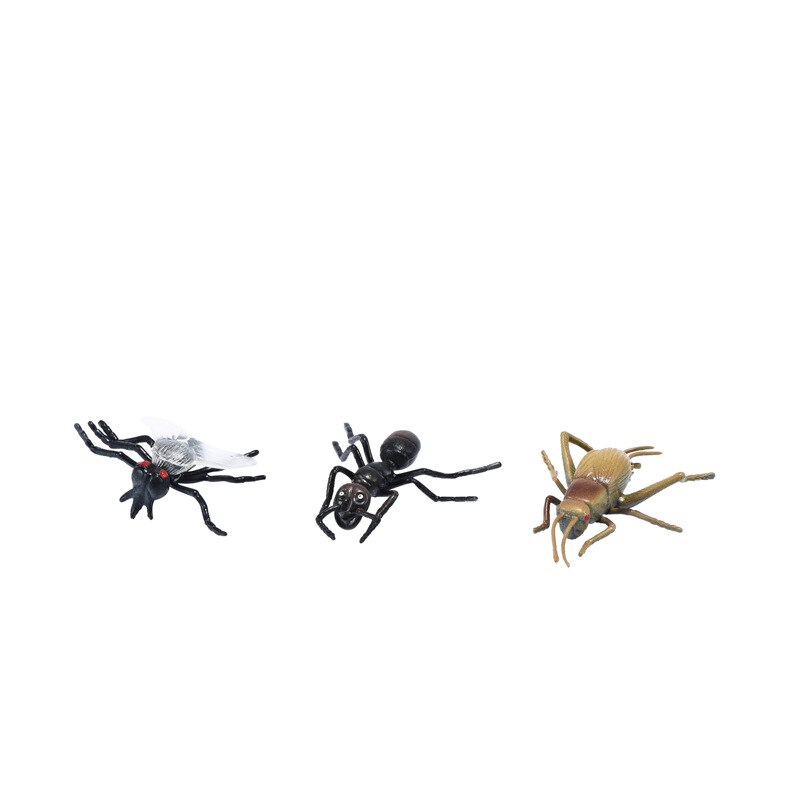 Cognitive Toys 12PCS Plastic Realistic Bugs Lifeli... – Grandado