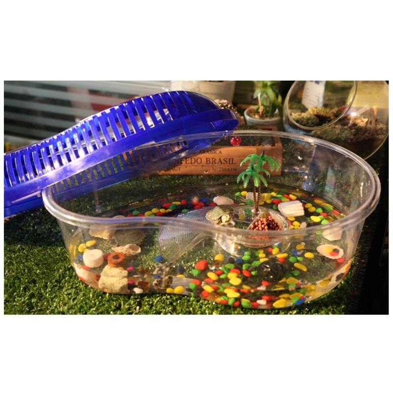 Portable Reptile Cage Small Plastic Terrarium for ... – Grandado