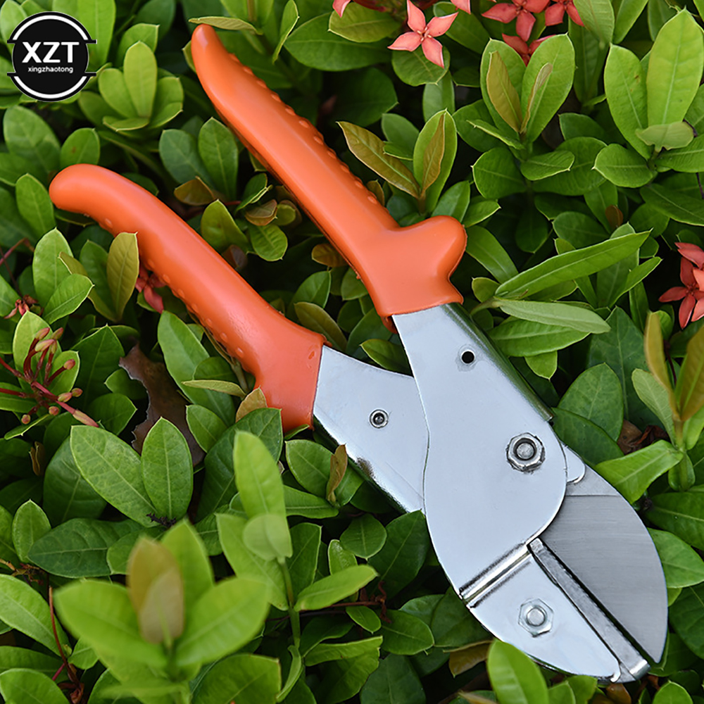 SK5 Steel Garden Prunin Secateurs Pruning Shears w... – Grandado