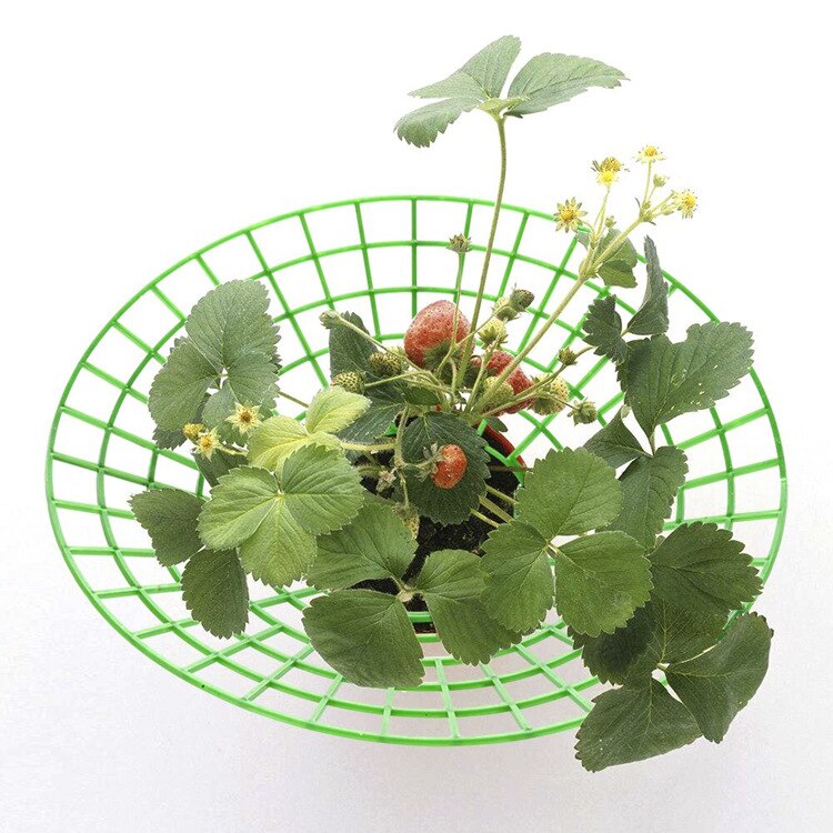 5/10/20pair Strawberry Stand Frame Holder Balcony ... – Vicedeal