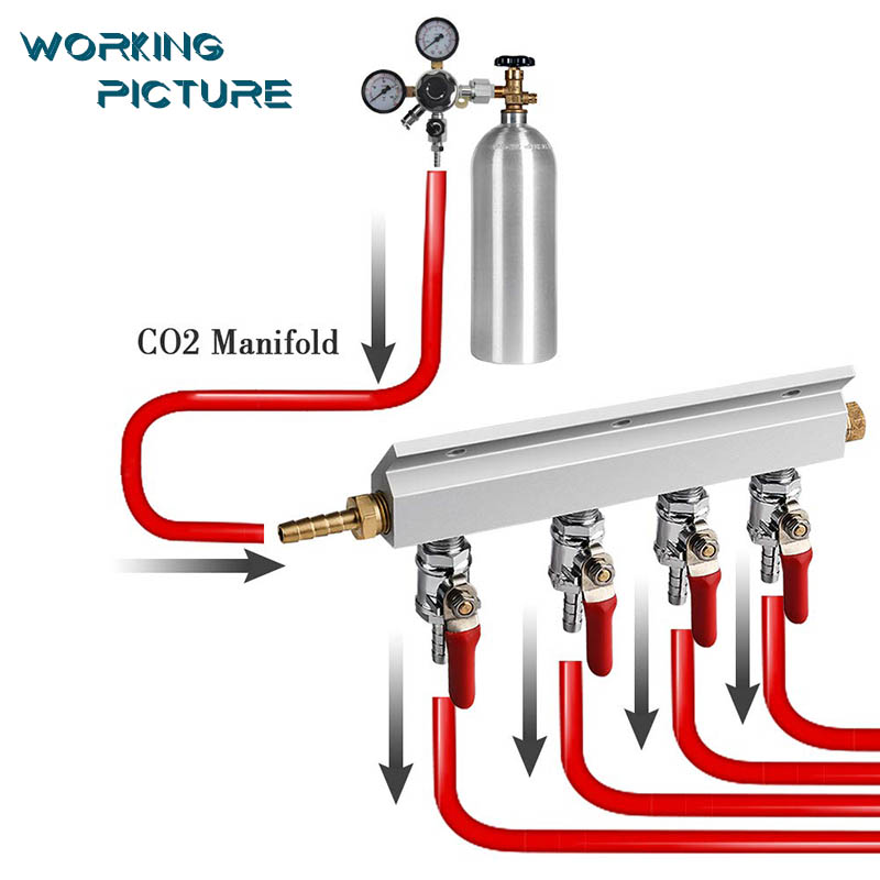 Home Brewing Gas Manifold Beer Gas Distributor 2wa... – Vicedeal
