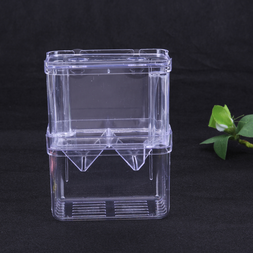 Acrylic Fish Breeding Isolation Box For Fish Tank ... – Grandado