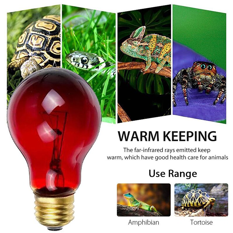 220-240V 25/50/75/100W Incandescent Bulb Night Red... – Grandado