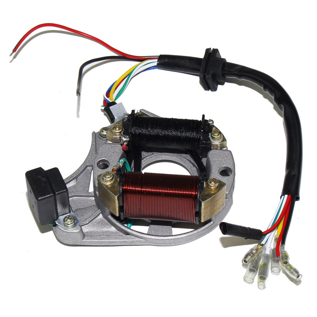 Ignition Stator Magneto 2 Coil 6 Wires for Jialing... – Grandado