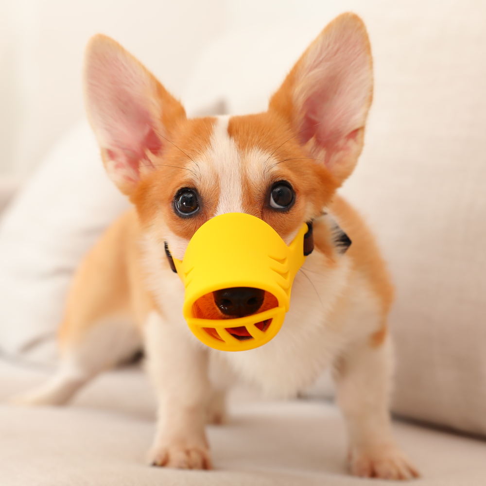 Dog Muzzle Silicone Cute Duck Mouth Mask Muzzle Ba... – Vicedeal
